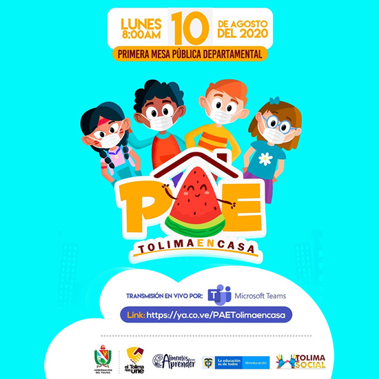 Primera Mesa Pública Departamental Programa PAE Año 2020 – Secretaría ...